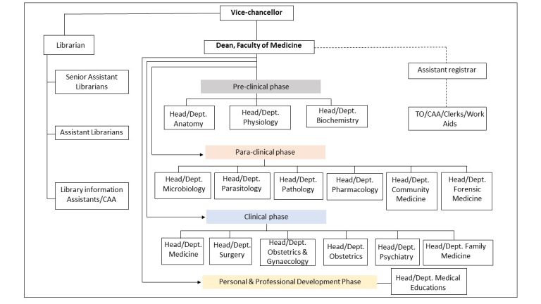 Organizational Structure of the Faculty of Medicine | Faculty of ...